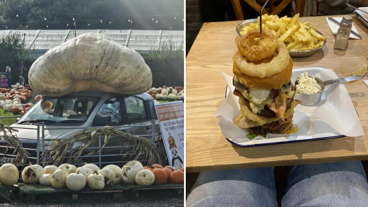 25 Absolute Units To Be In Awe Of | Know Your Meme