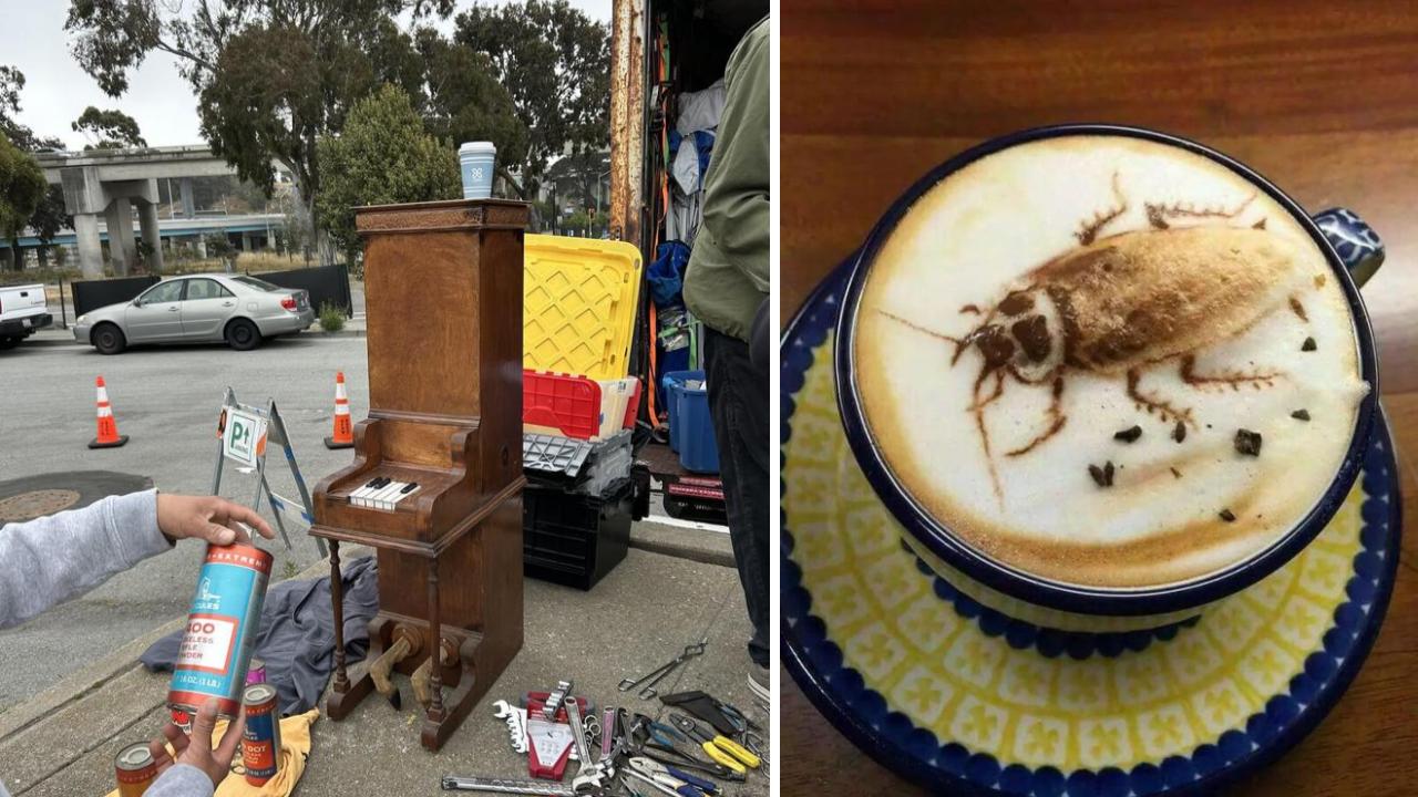 These Clever Creations Were Made In Poor Taste | Know Your Meme