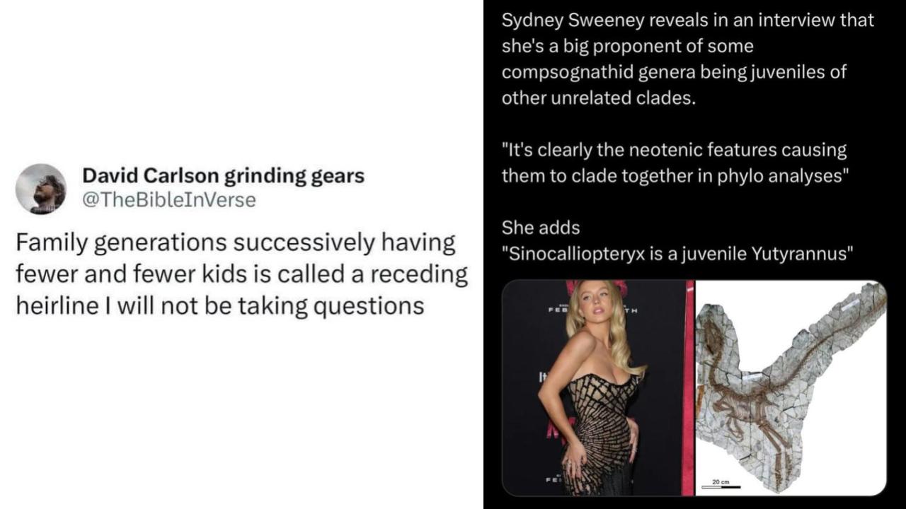 You May Have Never Heard These Odd Sentences Before | Know Your Meme