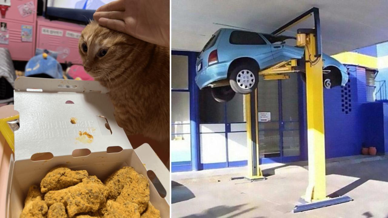 25 Photos That Make Sense In Their Own Way | Know Your Meme