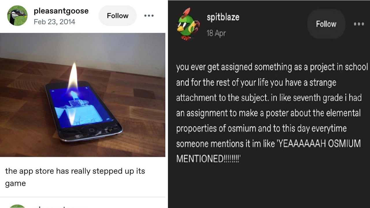 24 Tumblr Posts That Are Actually Hilarious | Know Your Meme