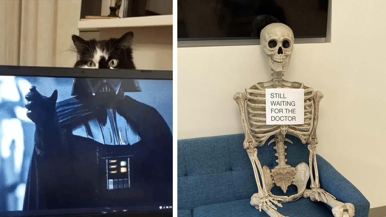 25 Randomly Funny Pictures To Share With Friends, Colleagues And Family ...