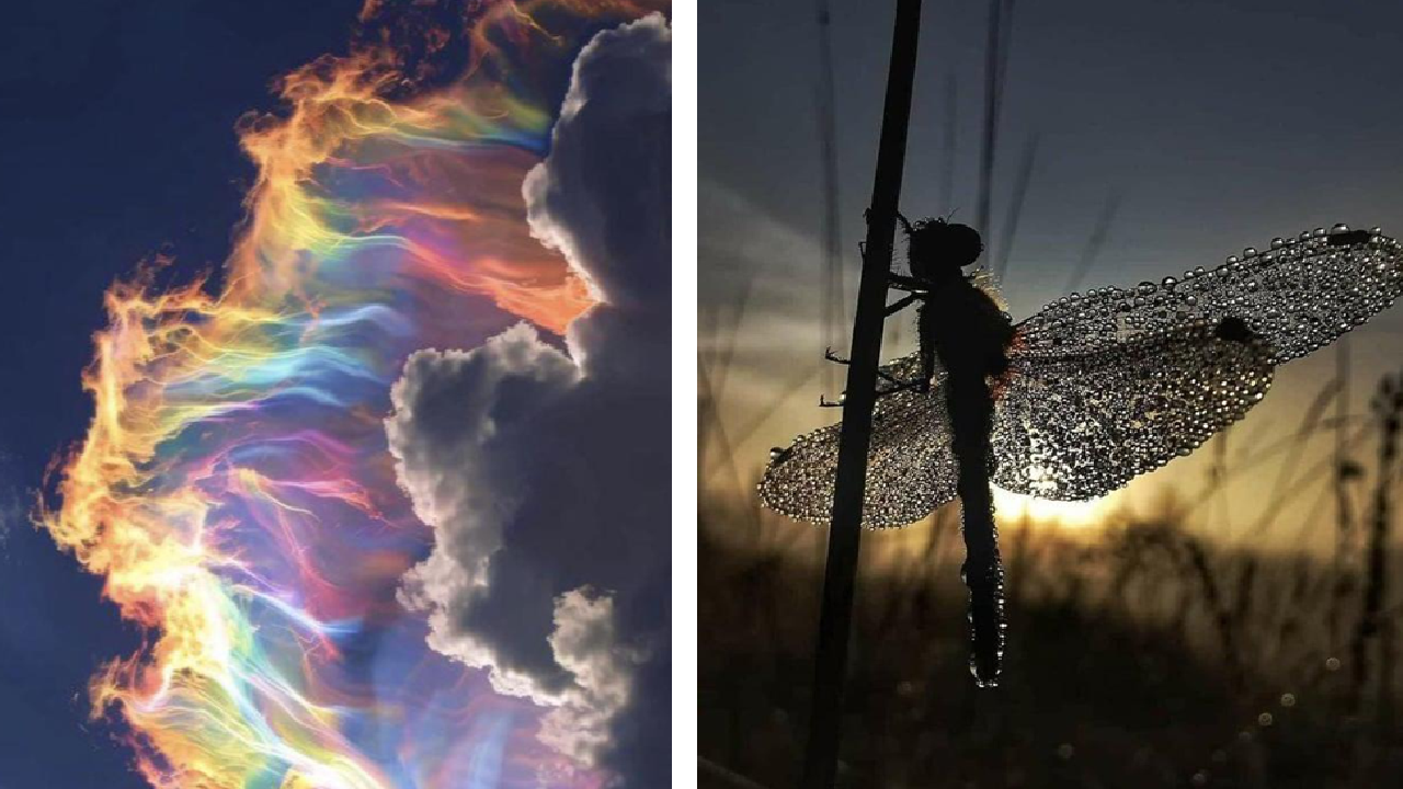 25 Amazing Photos That Will Strike You With Awe | Know Your Meme