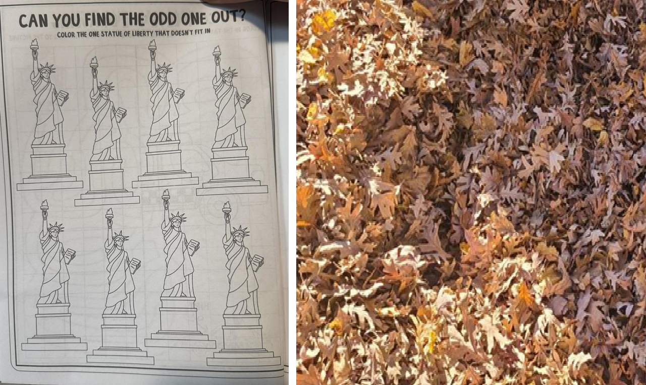 25 Tricky Hidden Object Puzzles To Tease Your Brain | Know Your Meme