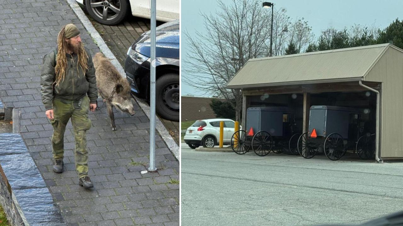 See Some Of The More Mildly Interesting Things In The World | Know Your ...