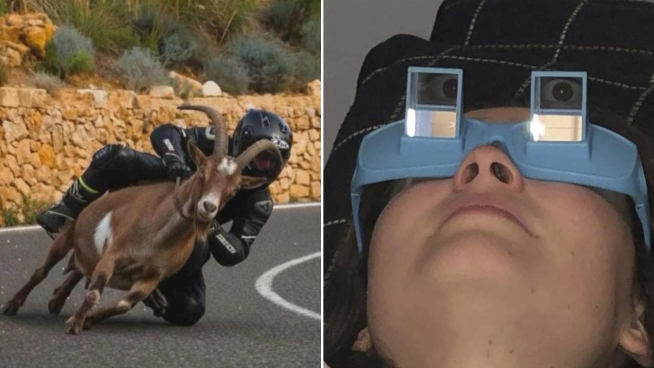 These Odd Images Don't Really Need Explaining | Know Your Meme