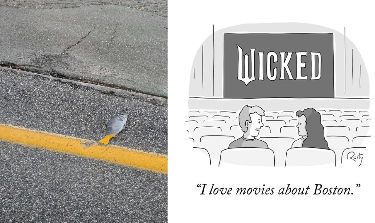 24 Randomly Funny Memes To Get You Laughing | Know Your Meme