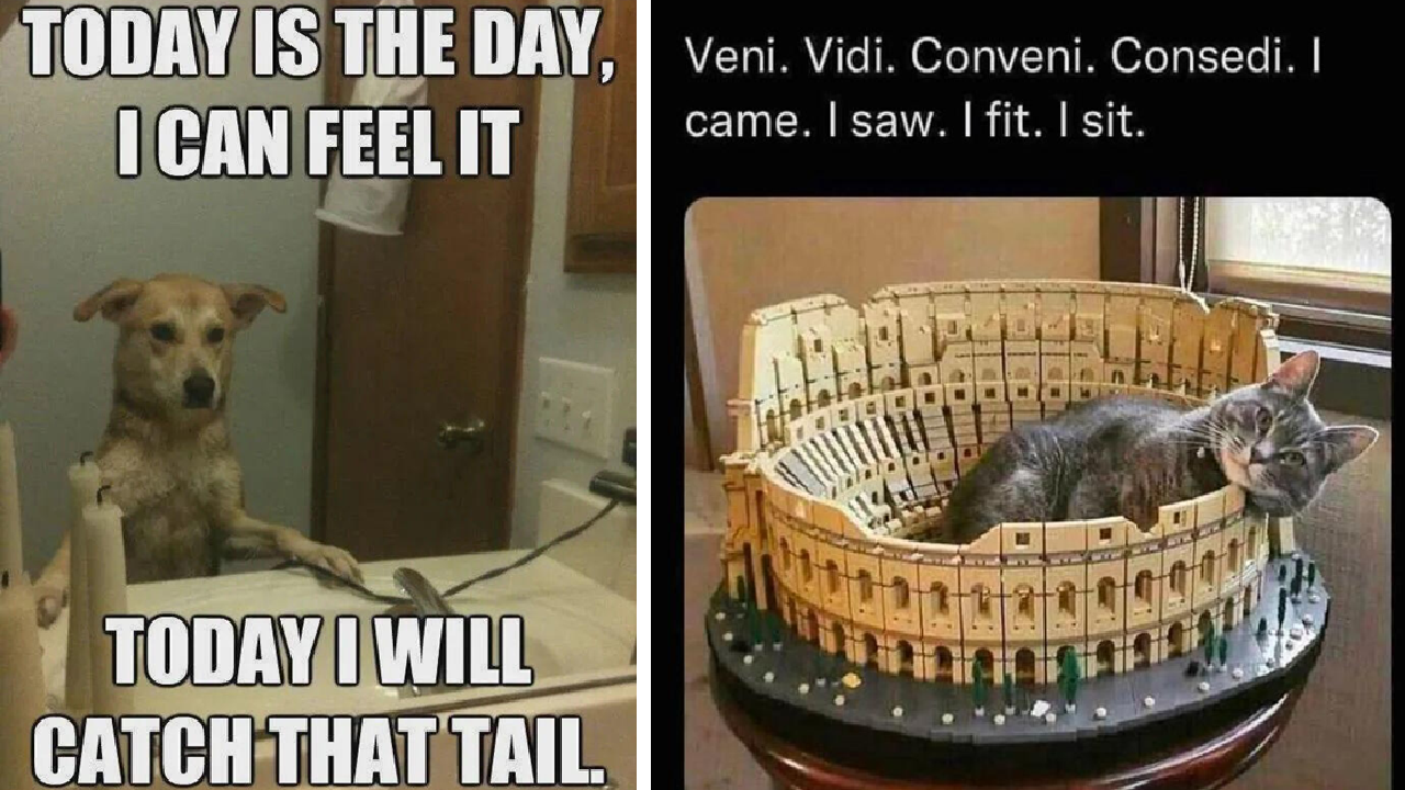 Enjoy Some Wholesome Memes That Will Warm Your Heart | Know Your Meme