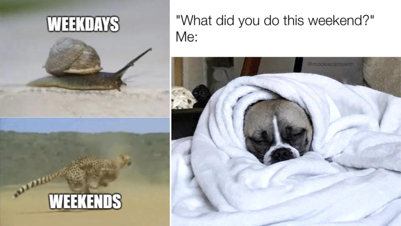 The Weekend Is Here, Celebrate With A Meme | Know Your Meme