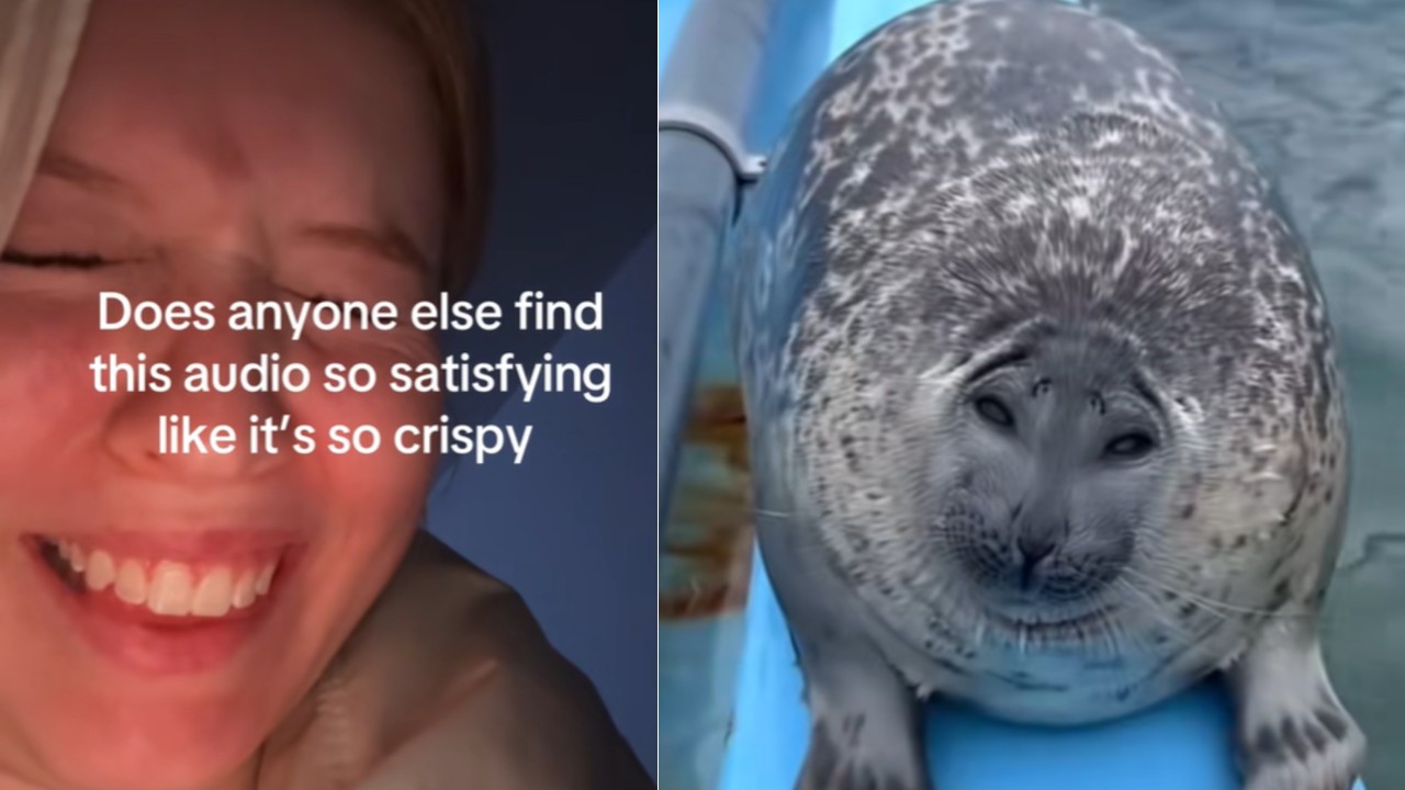 REEEEEEE: Image Gallery | Know Your Meme