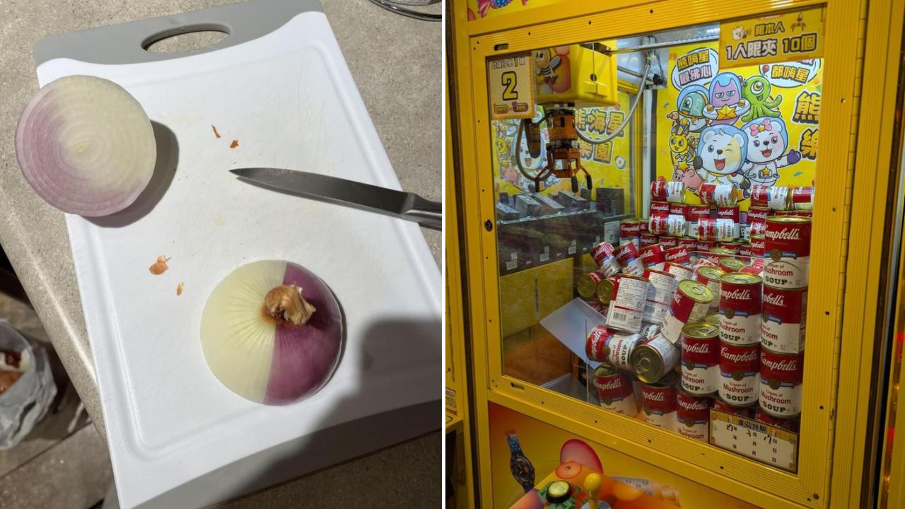 Admire Some Of Life's Small Moments | Know Your Meme