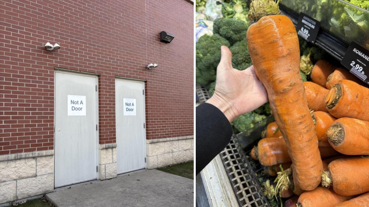 Gander At The Mildly Interesting Things In Life | Know Your Meme