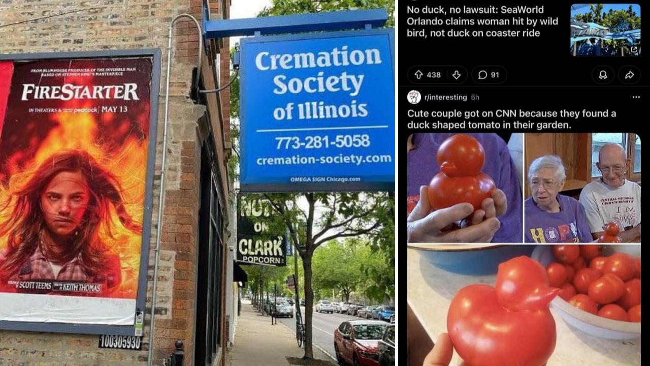 Accidentally Hilarious Moments Caught In Real Time | Know Your Meme