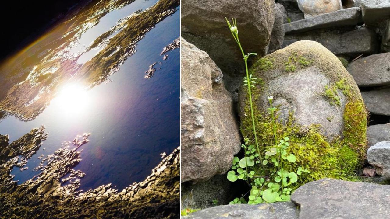 25 Microscopic Worlds People Spotted | Know Your Meme