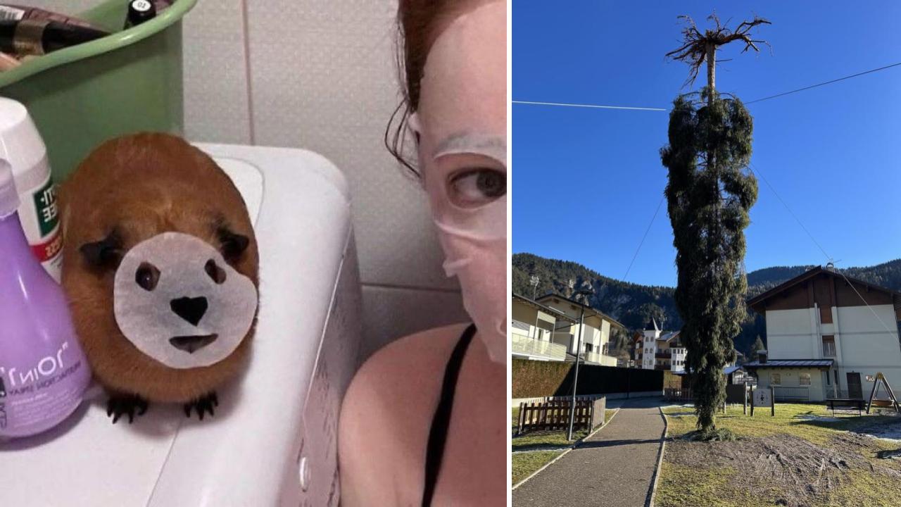 End The Week On An Odd Note With Unexplainable Images | Know Your Meme