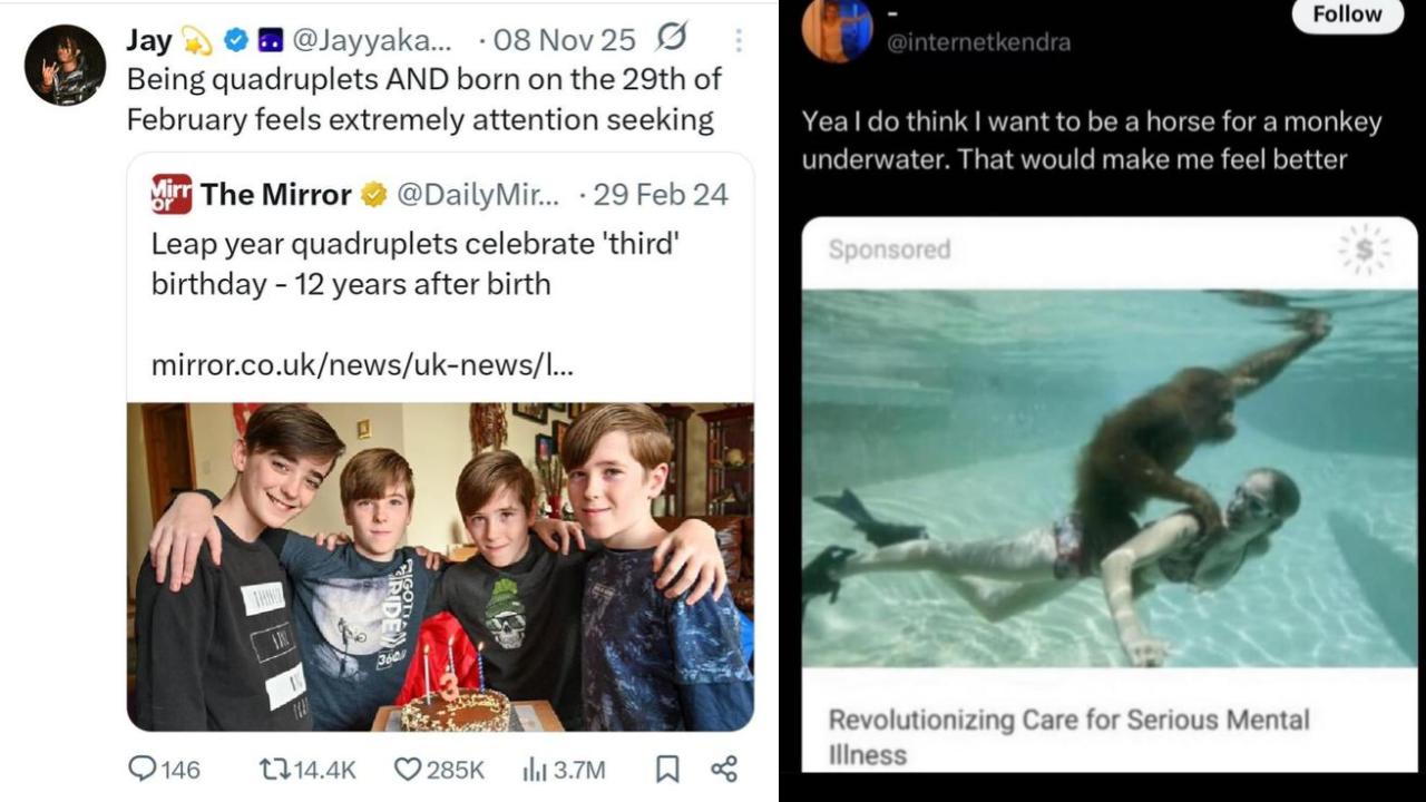 25 Novel Sentences That Might Actually Be Original | Know Your Meme