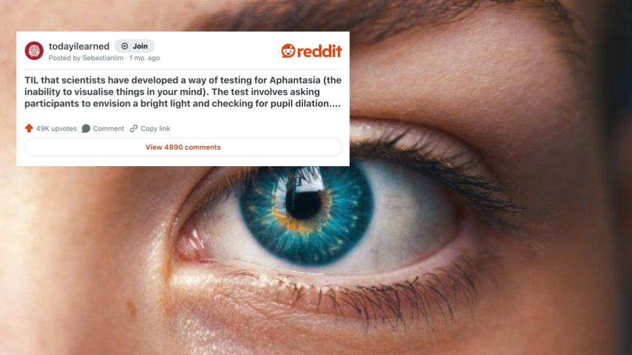 'Today I Learned': 25 Fun Facts We Didn't Know Before Now | Know Your Meme