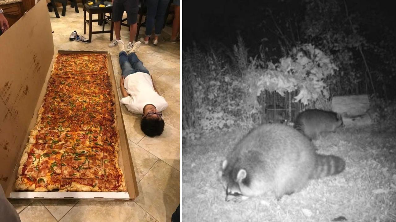 25 Absolute Units That Got To Be Way Too Big | Know Your Meme