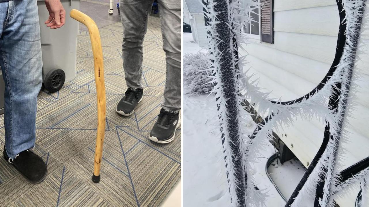 These 30 Mildly Interesting Moments Will Pique Your Interest | Know ...