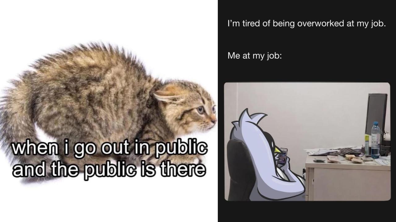 30 Relatable Memes We All Feel | Know Your Meme