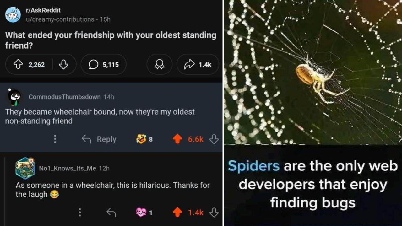 Enjoy 25 Comments That Are Too Technically True | Know Your Meme