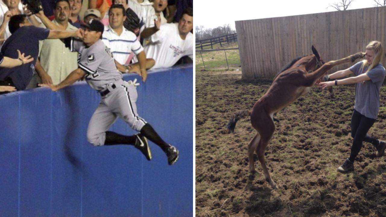 These Perfect Photos Were Snapped At The Right Moment | Know Your Meme