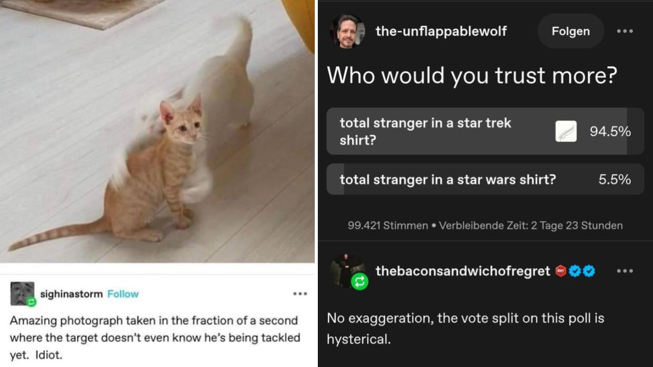 25 Recent Tumblr Posts For A Change Of Pace | Know Your Meme