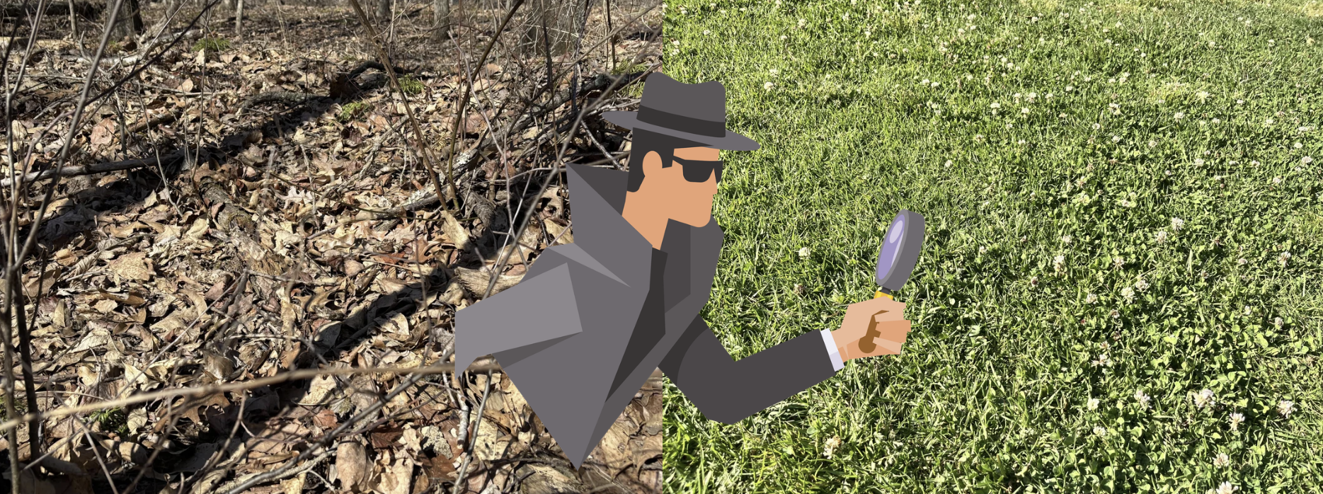 Put Your Detective Skills to the Test With These Puzzles Hiding Secret ...