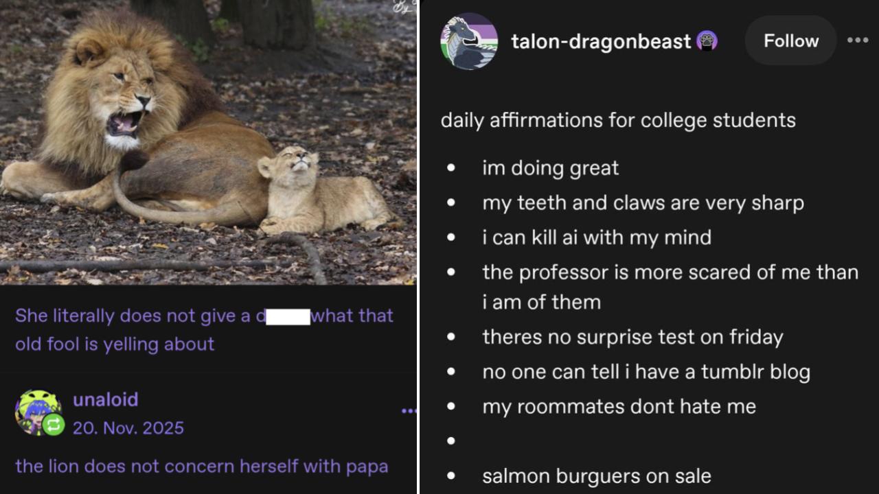 Enjoy Some Tumblr Posts And Memes Today | Know Your Meme