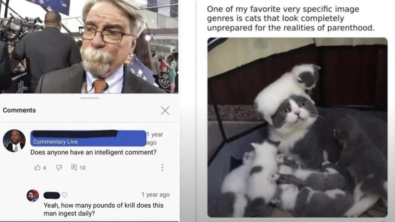 25 Oddly Specific Sentences You'll Have To Read Twice | Know Your Meme