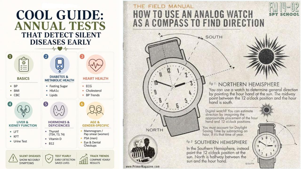 25 Interesting Guides And Graphics To Learn Something New | Know Your Meme