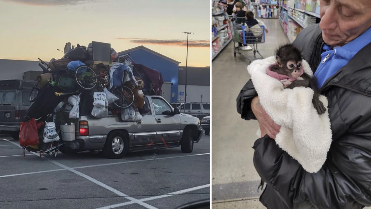 25 Photos From Walmart That Just Make Sense | Know Your Meme