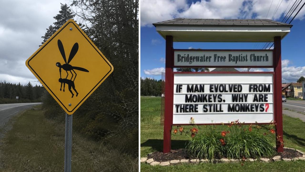 25 Hilarious Signs With Important Messages | Know Your Meme