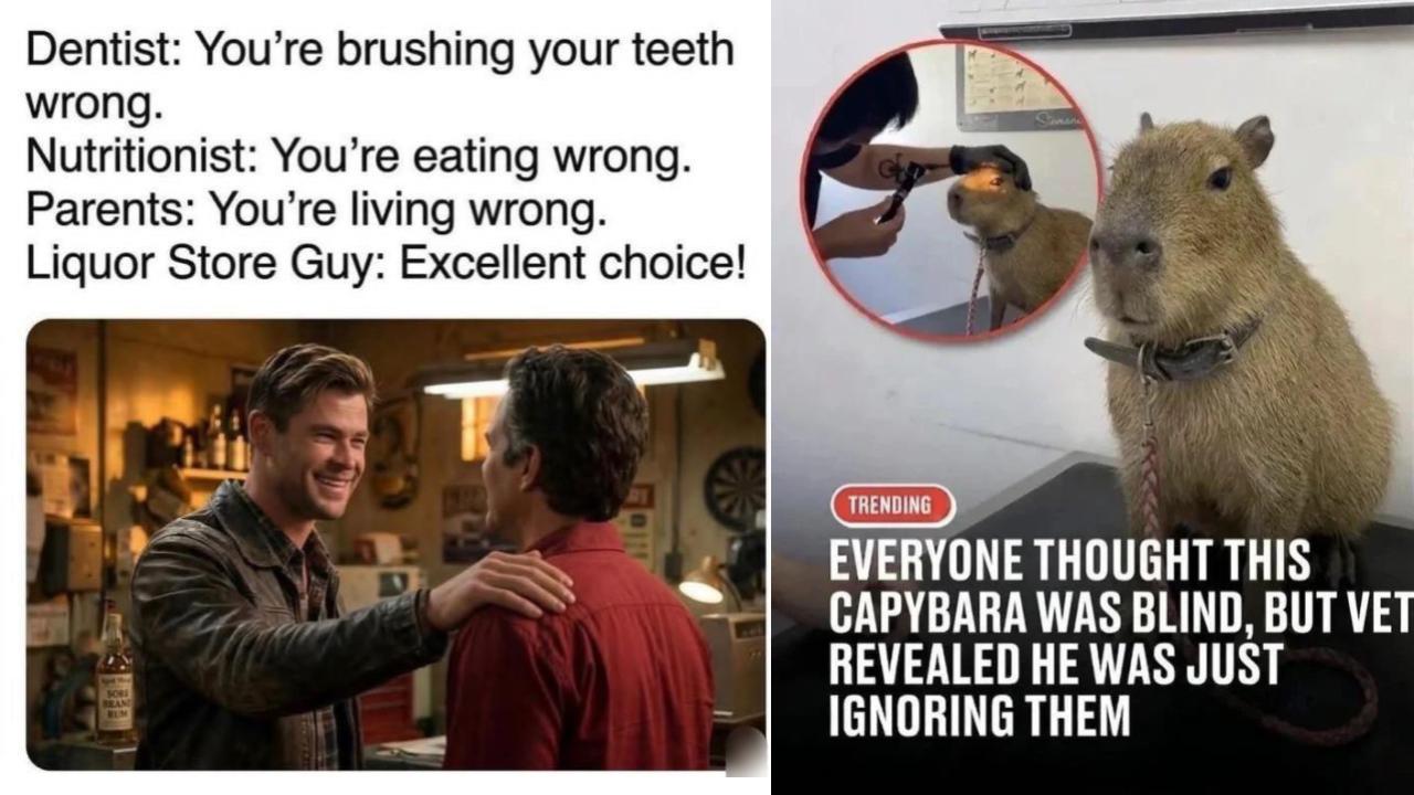 26 Memes We All Know And Love | Know Your Meme