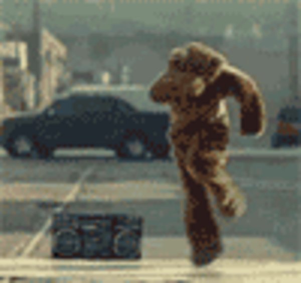 Breakdancing Bear | Know Your Meme