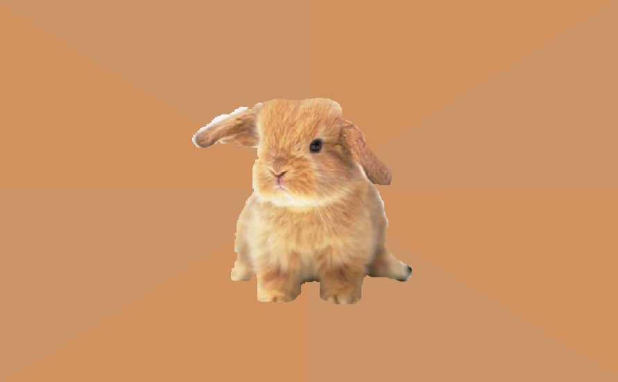 Cheap Bunny: Image Gallery (List View) | Know Your Meme