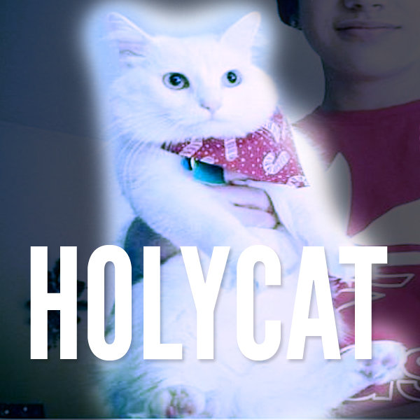 HOLYCAT!: Video Gallery | Know Your Meme