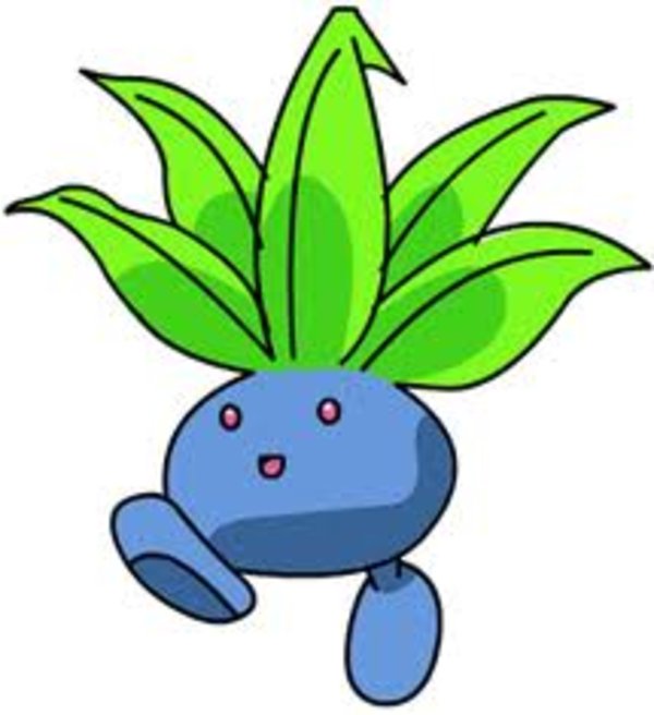 oddish is the cutest thing ever: Trending Images Gallery (List View ...