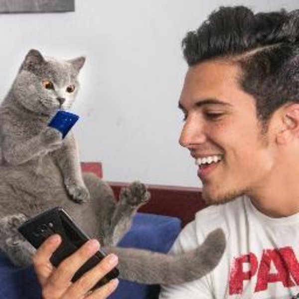 Aaron Benitez: Image Gallery (Sorted by Score) (List View) | Know Your Meme