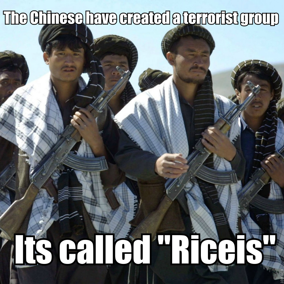 Riceis: Image Gallery (List View) | Know Your Meme
