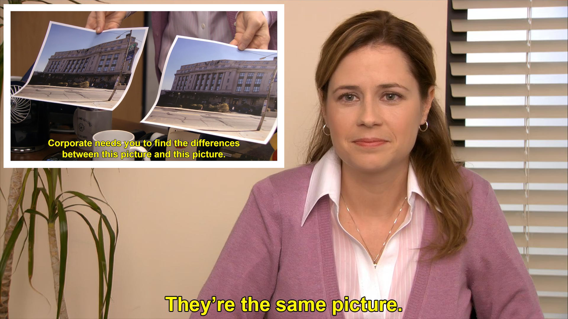 They re The Same Picture Video Gallery Sorted By Low Score Know 
