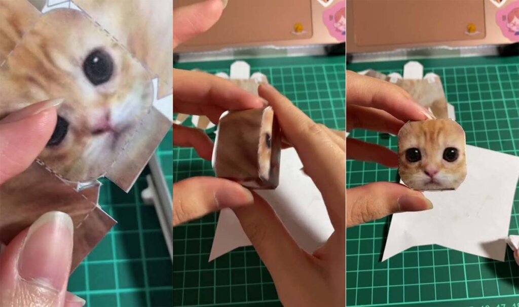 El Gato TikTok Sound Trending Videos Gallery Know Your Meme
