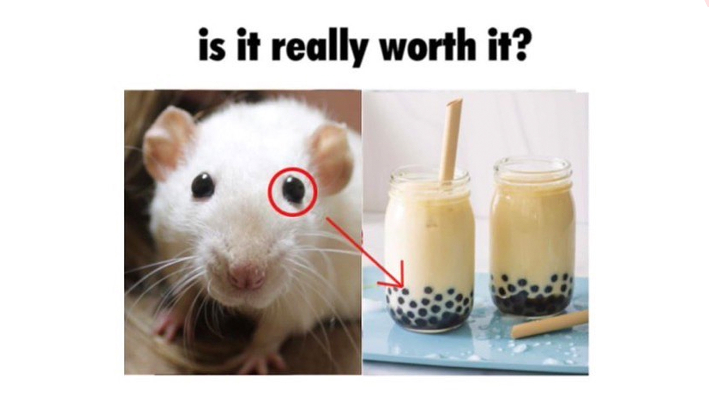 Is It Really Worth It Know Your Meme