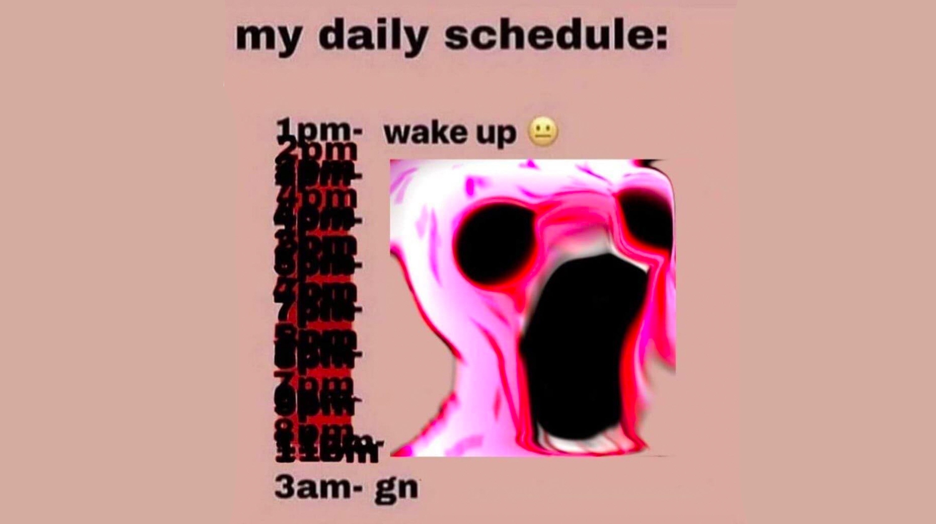 My Daily Schedule 1pm Wake Up Know Your Meme