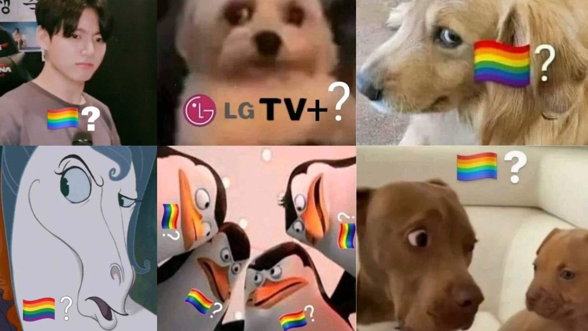 🏳️‍🌈? / Pride Flag Question Mark: Trending Images Gallery (List View) | Know Your Meme