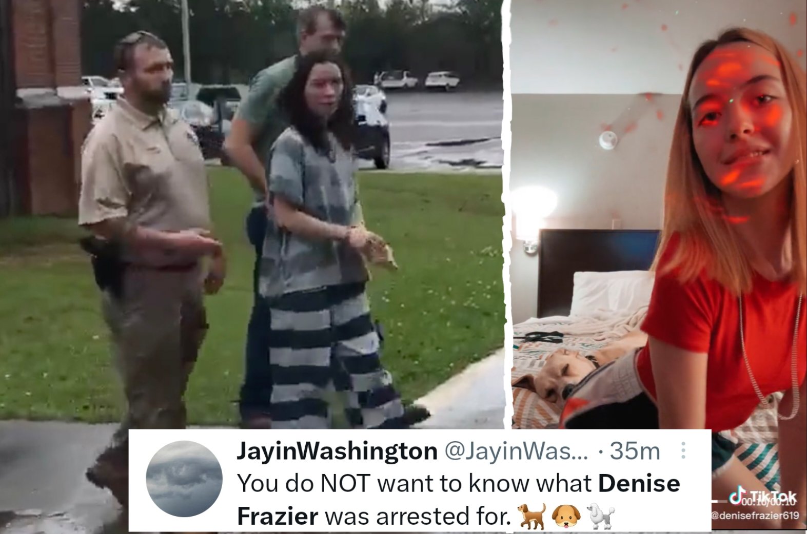 Denise Frazier Dog Bestiality Controversy Video Gallery Sorted By