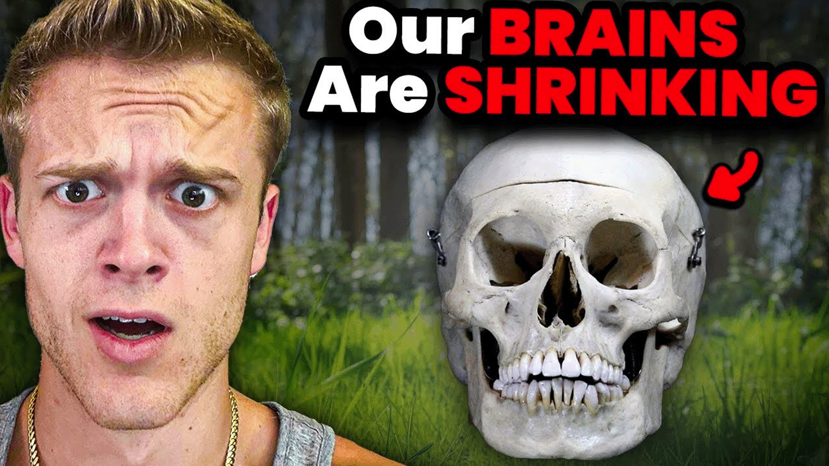 Our Brains Are Shrinking | Know Your Meme