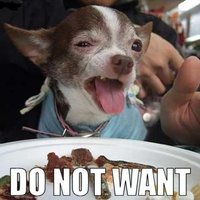 All Catchphrase Memes (Sorted by Oldest) | Know Your Meme