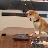 Shiba Inu Dancing | Know Your Meme