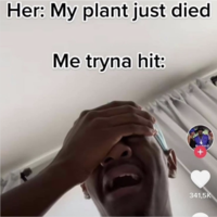 12 TikTok Screenshots That Will Happily Keep You Away From That ...